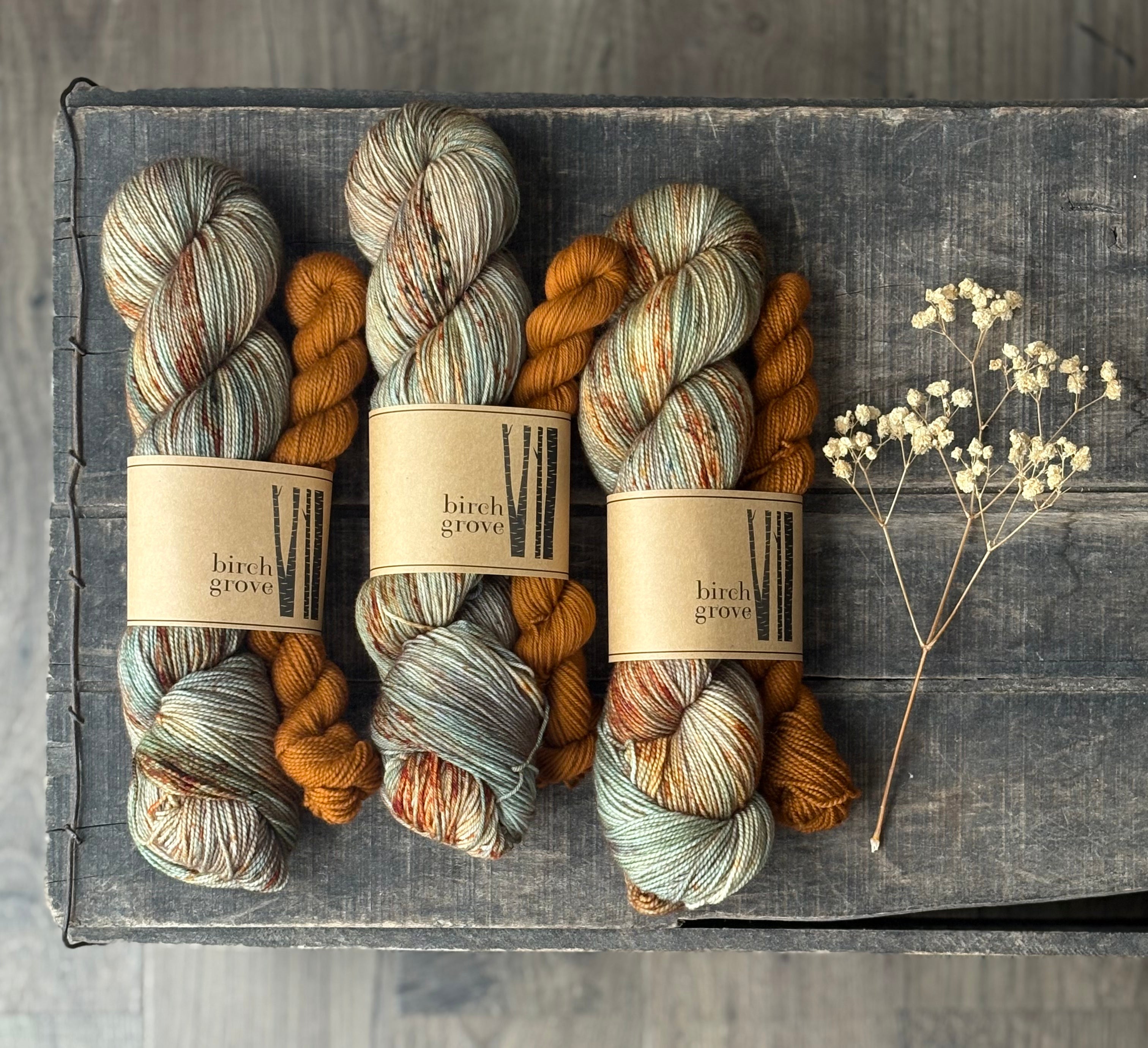 Understory Sock Set - Fingering – Birch Grove By Kristina