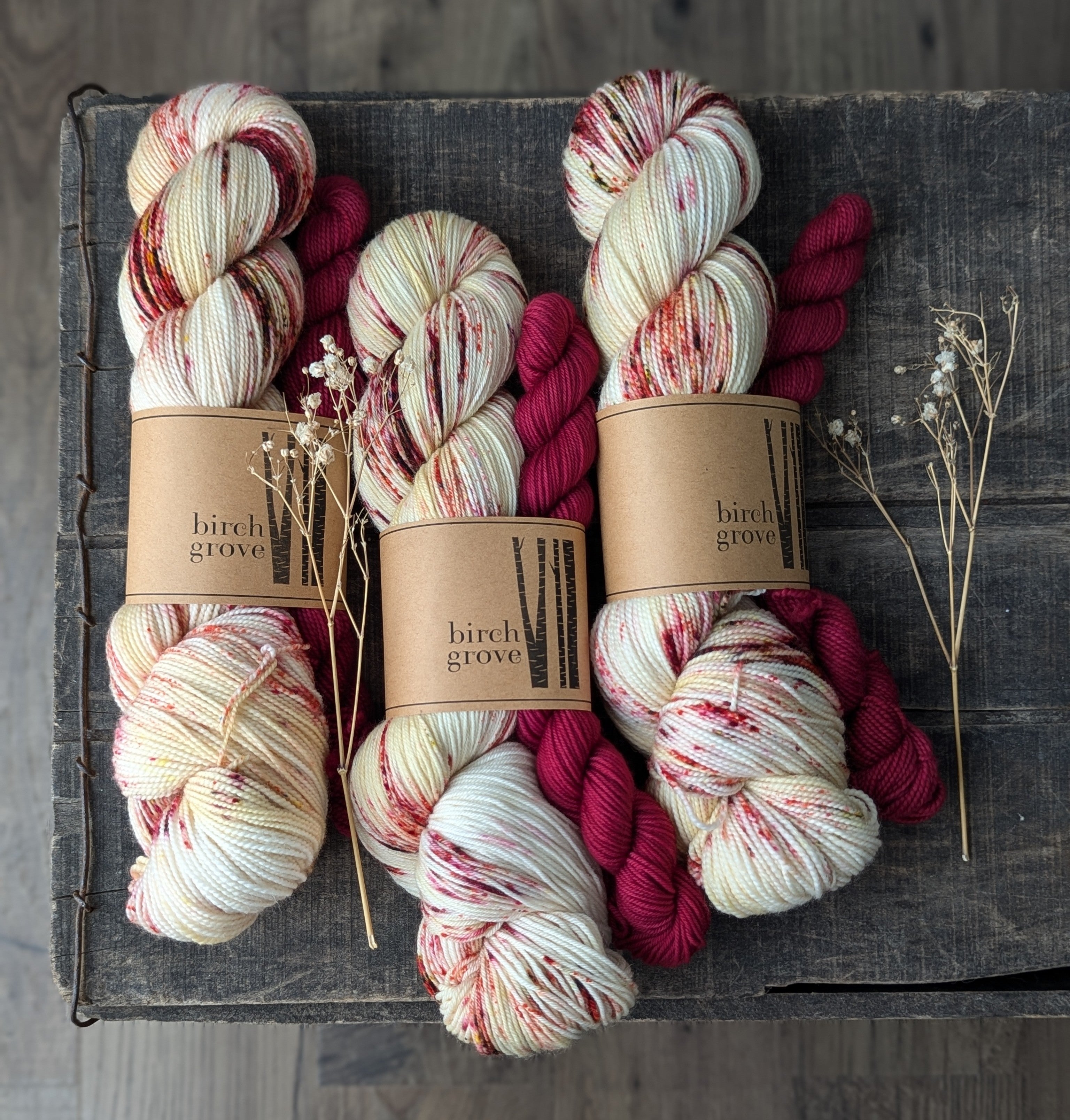 Sunrise Sock Set - Fingering – Birch Grove By Kristina