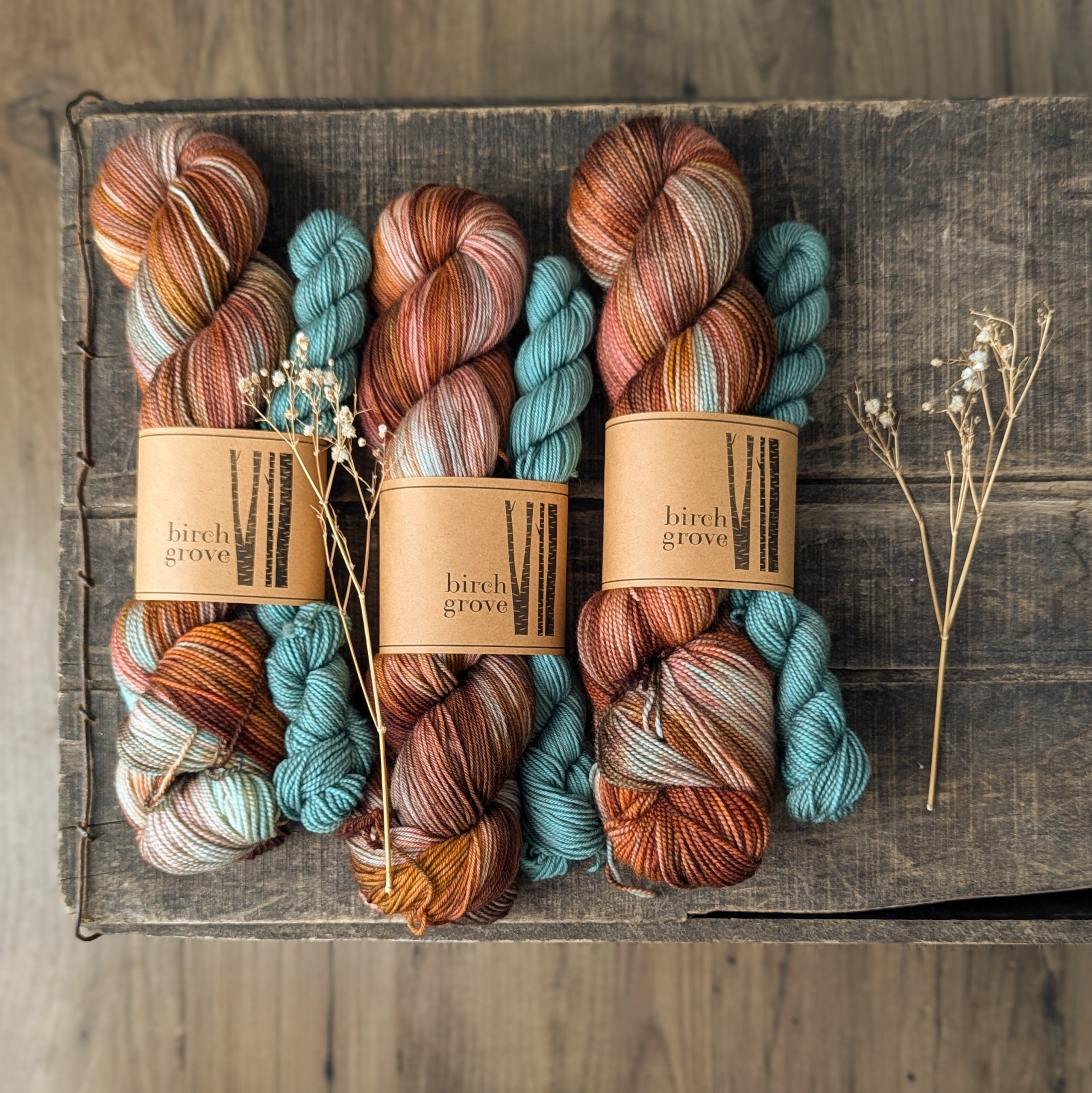 Solstice Sock Set - Fingering – Birch Grove By Kristina